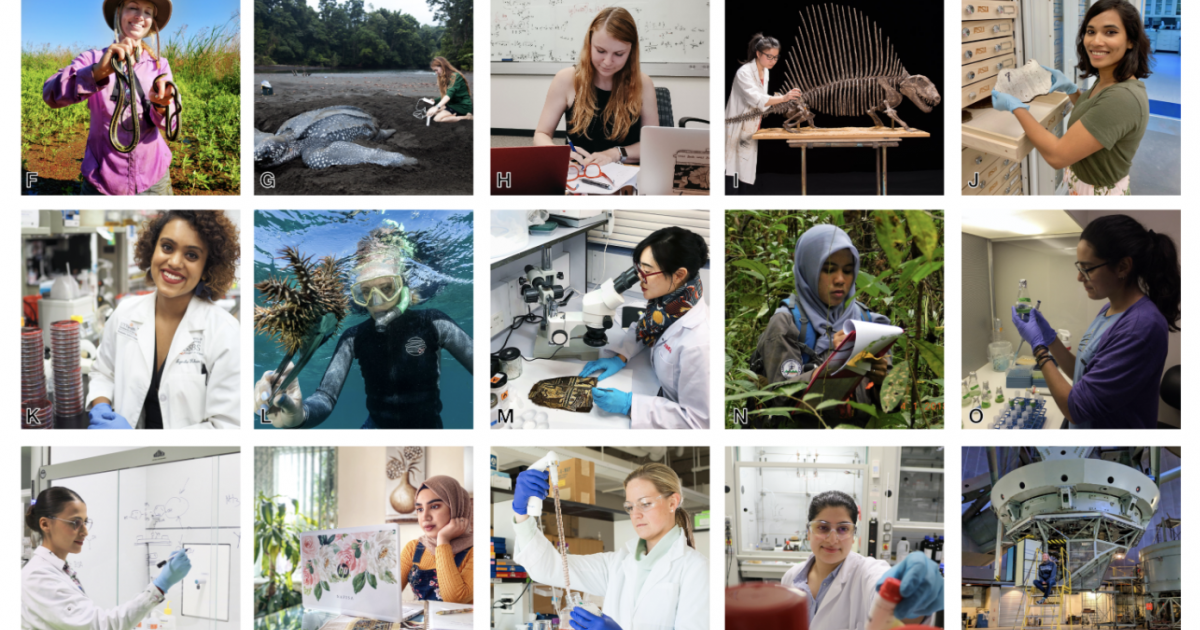 The Many Versions of a Female Scientist